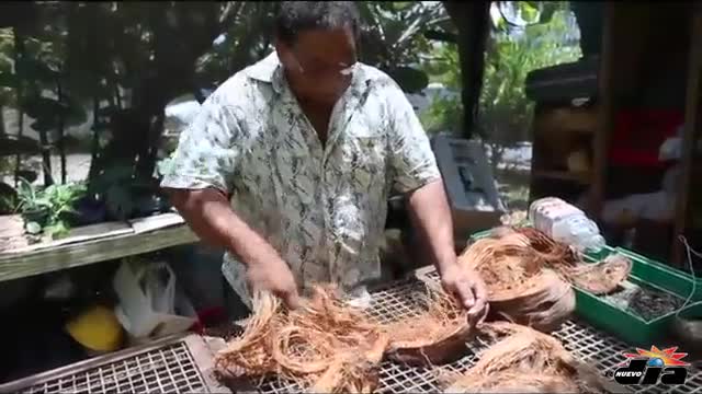 Artesano revela cómo sacar partido al coco - El Nuevo Día