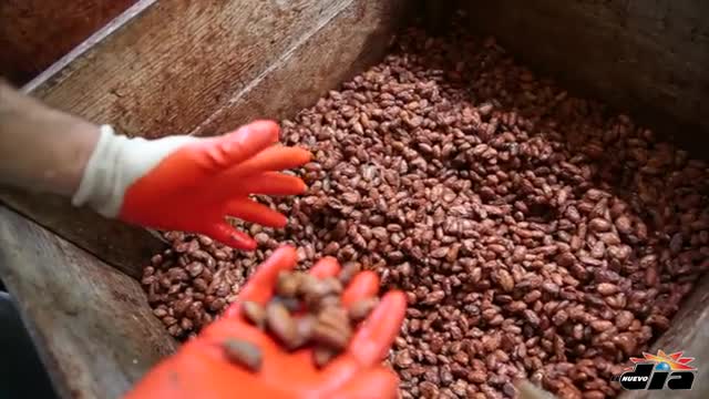 Primera barra de chocolate gourmet de Puerto Rico - El Nuevo Día