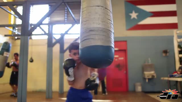 Fabricando campeones: Niños en el boxeo - El Nuevo Día