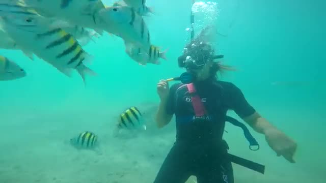 Bebé Maldonado la pasa bien en su primera aventura de snuba - Videos ...